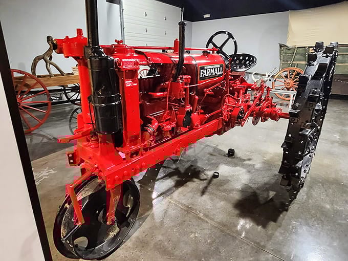 A restored Farmall tractor painted brighter than a fire engine, proving farming equipment can be surprisingly photogenic when properly maintained.