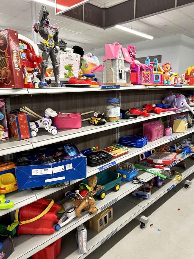 The toy section where action figures and dollhouses coexist peacefully, waiting to spark joy in their next young owner.