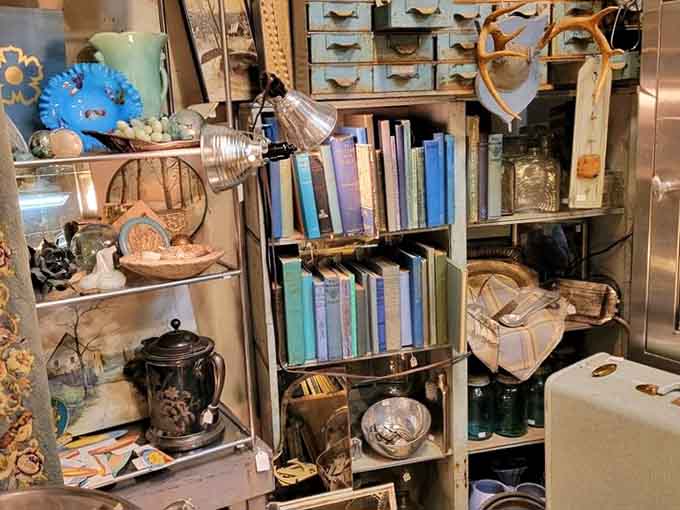 Books nestle among vintage lamps and curiosities, creating vignettes that interior designers dream about at night and screenshot obsessively.
