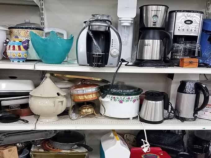 Coffee makers and appliances crowd together, small kitchen miracles priced for actual human budgets here.