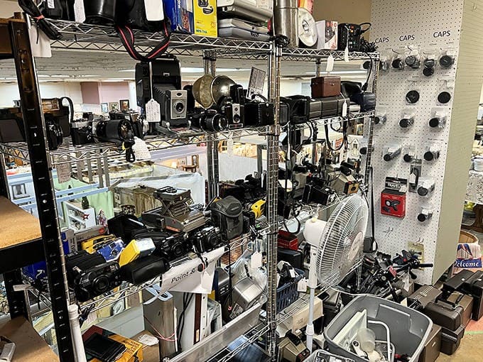 A photographer's dream&mdash;vintage cameras that captured weddings, birthdays, and vacations long before "selfie" entered our vocabulary.