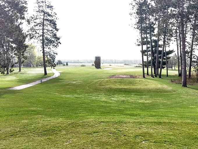 Whitetail Run Golf Course offers fairways that unfold like a green carpet between majestic pines, where your slice into the woods costs nothing but pride and a lost ball.