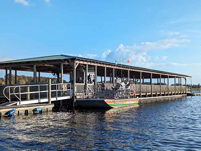 These airboats are your ticket to seeing Florida's original residents, the ones who were here long before we invented air conditioning.