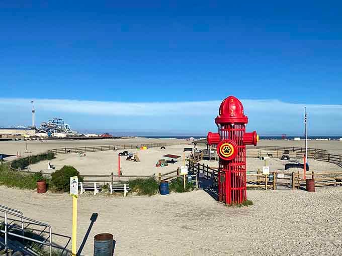 That giant fire hydrant on the beach is either brilliant playground equipment or someone's fever dream come true.