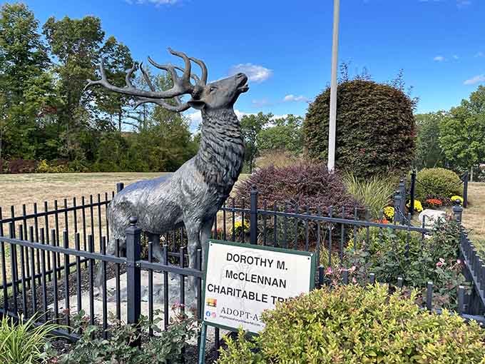 This majestic deer statue stands guard like it's auditioning for a Narnia movie set in Massachusetts.