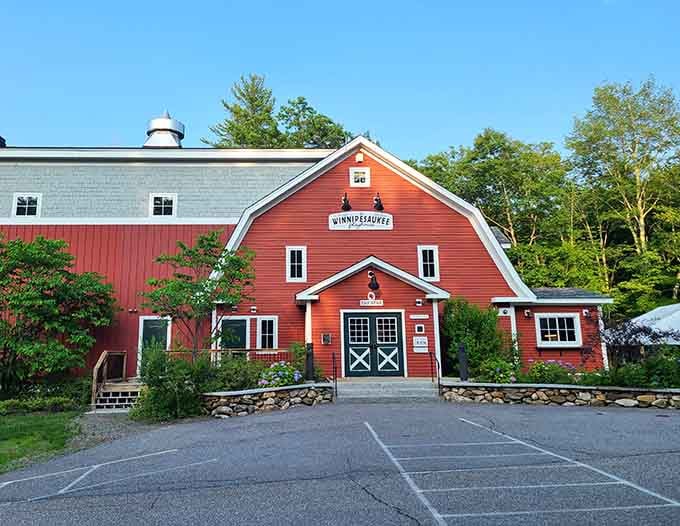 The Winnipesaukee Playhouse's classic red barn exterior houses theatrical magic that rivals any big-city production.