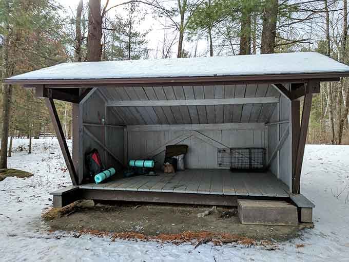 Winter's lean-to shelter: where "roughing it" meets "actually quite sensible" in the Vermont wilderness.