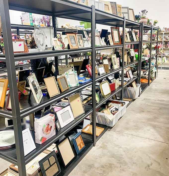 Picture frames in every style and size line the shelves, ready to showcase your memories or cover that wall stain.