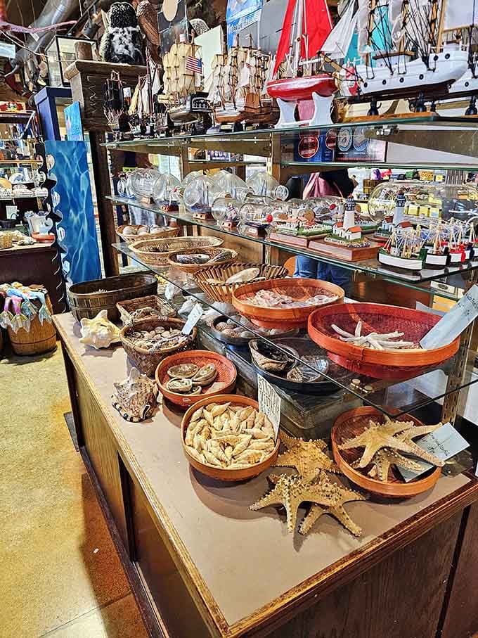 Nautical treasures and maritime curiosities overflow these tables like a sailor's fever dream come to life beautifully.