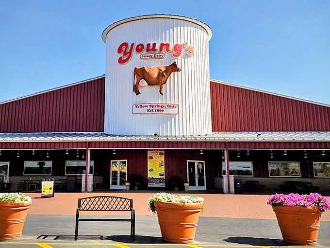 Young's Jersey Dairy serves happiness in a cone, made fresh from their own herd of very productive cows.