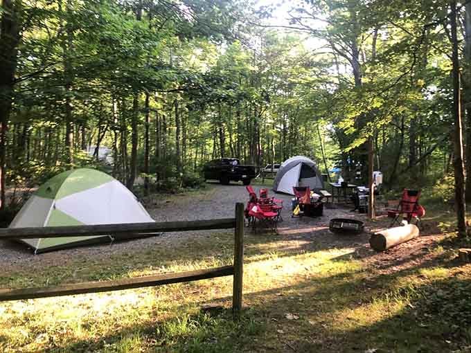 Camping nirvana among the whispering pines. This woodland retreat makes tent setup struggles completely worthwhile.