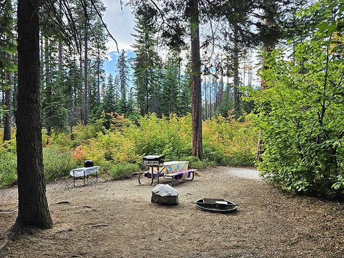 Camping simplicity at its finest&mdash;where a picnic table, fire ring, and surrounding forest create the five-star accommodations that no Ritz-Carlton can match.