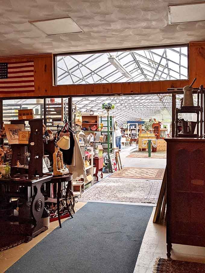 Sunlight streams through the greenhouse section, illuminating pathways to discovery. Every aisle leads to something unexpected.