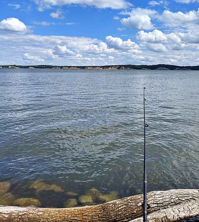A fishing rod, a log, and endless water&mdash;sometimes the simplest recipe creates the most delicious day, especially when there's no cell service.