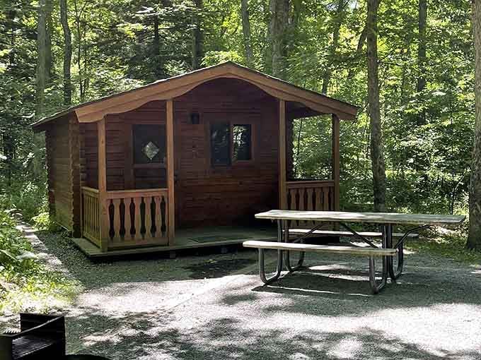 Camping cabins that let you sleep surrounded by hemlocks without sacrificing basic creature comforts entirely.