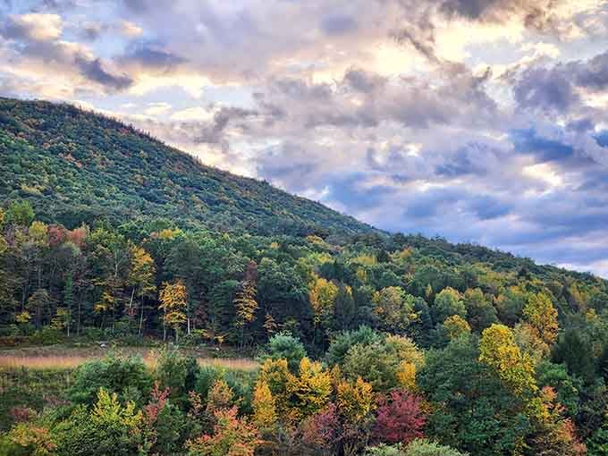 Autumn paints the mountainside with its signature palette. Nature's color consultant went all out, proving that "gaudy" doesn't exist in the forest's vocabulary.