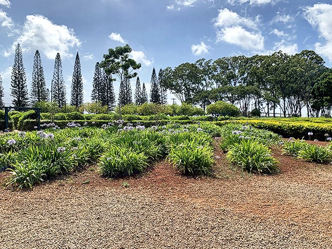 Botanical beauty: The gardens surrounding the maze showcase Hawaii's diverse plant life in meticulously designed landscapes.