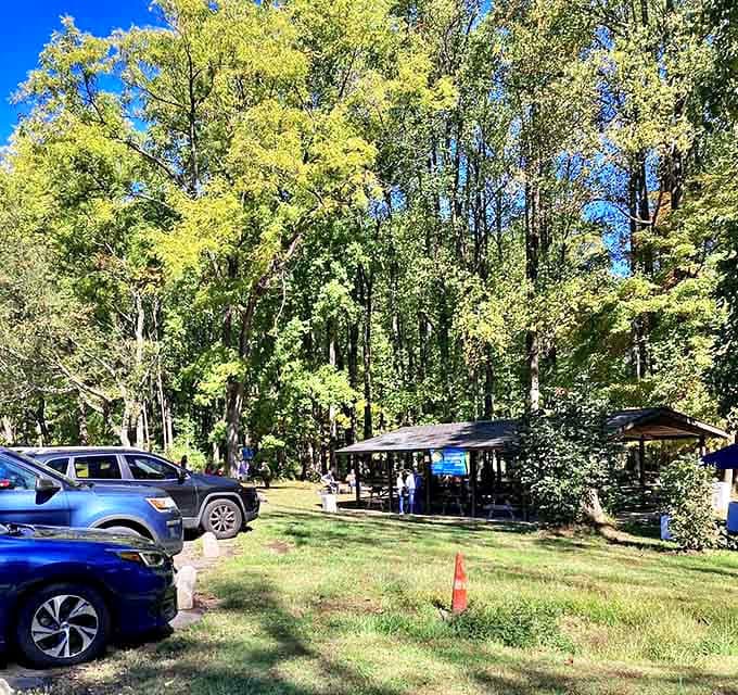 The park's gathering spaces offer room for everyone, proving that "social networking" worked just fine before the internet.