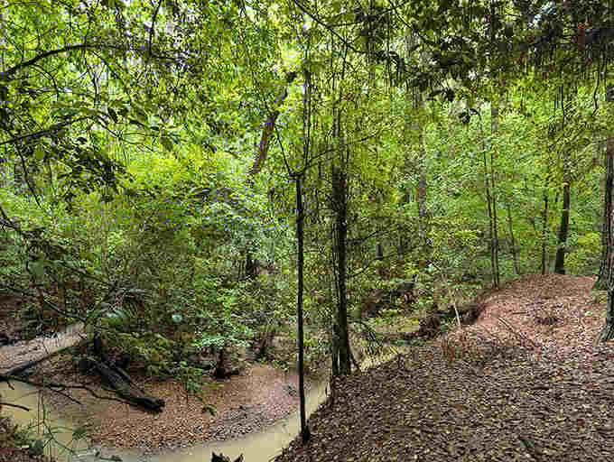 The lush greenery surrounding the park offers a refreshing contrast to the plowed diamond fields. Nature's jewelry box has many compartments.