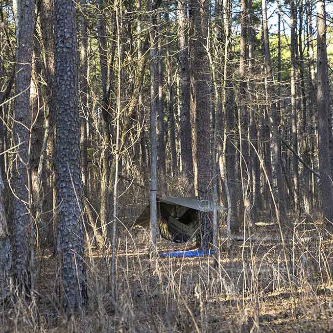Backcountry camping for the adventurous soul. This humble shelter has hosted more genuine stargazing than all of Hollywood's astronomical observatories.