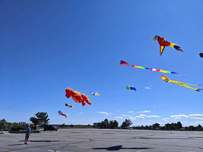The sky becomes a canvas of colorful kites dancing on ocean breezes &ndash; proof that sometimes the simplest pleasures create the most vibrant memories.
