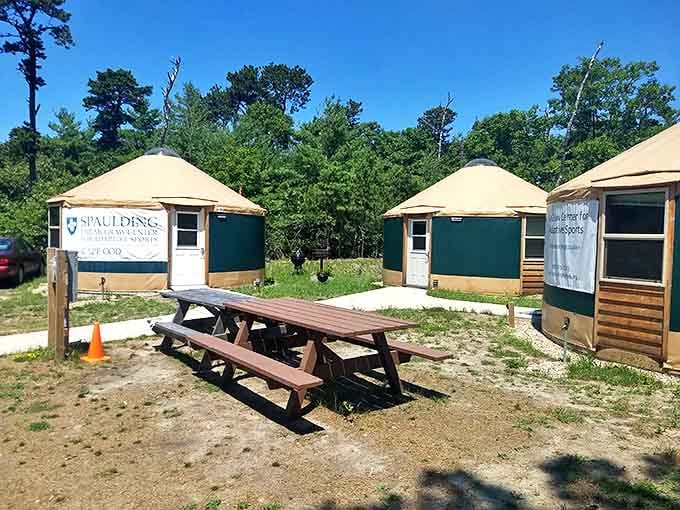 These cozy yurts bring "glamping" to Nickerson. All the joys of camping with none of the "is that a rock under my back?" moments.