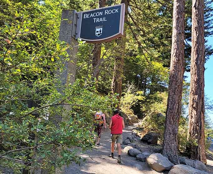 The trailhead sign: where adventures begin and your step counter starts working overtime for its digital paycheck.