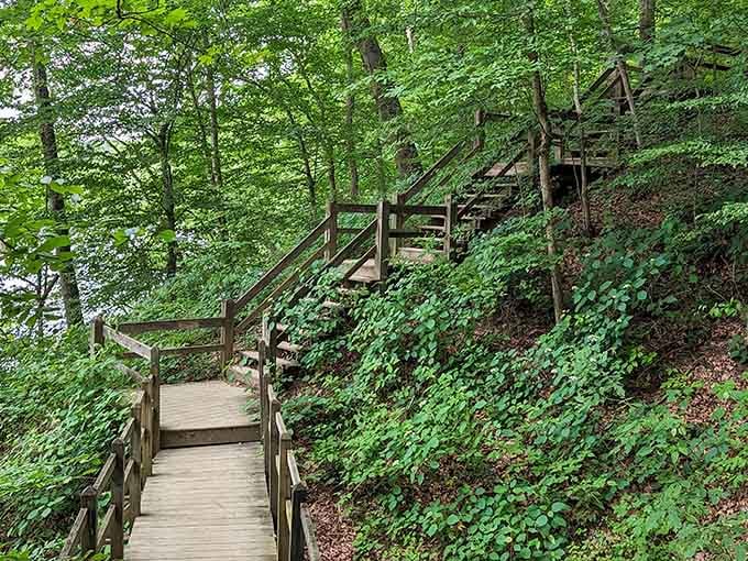 Stairway to heaven? Almost. These wooden steps invite exploration through a forest so green it makes emeralds jealous.