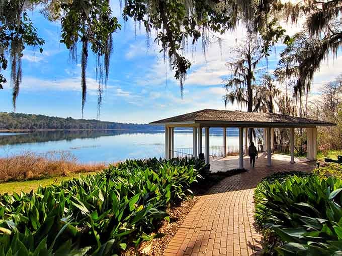 Spanish moss drapes like elegant curtains over this lakeside pavilion where tranquility comes standard with every visit.