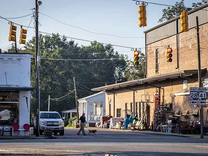 Morning light catches folks walking their dogs past vintage storefronts where community connections happen naturally every day.