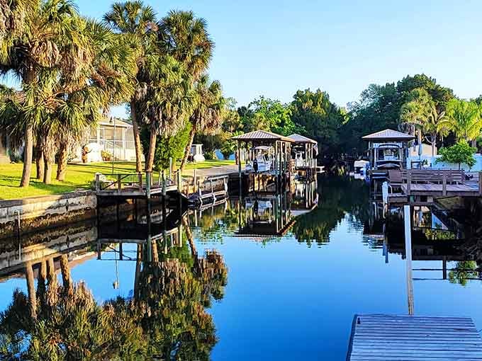 Still water reflects palm trees and boat docks like a mirror, doubling the beauty in every direction.