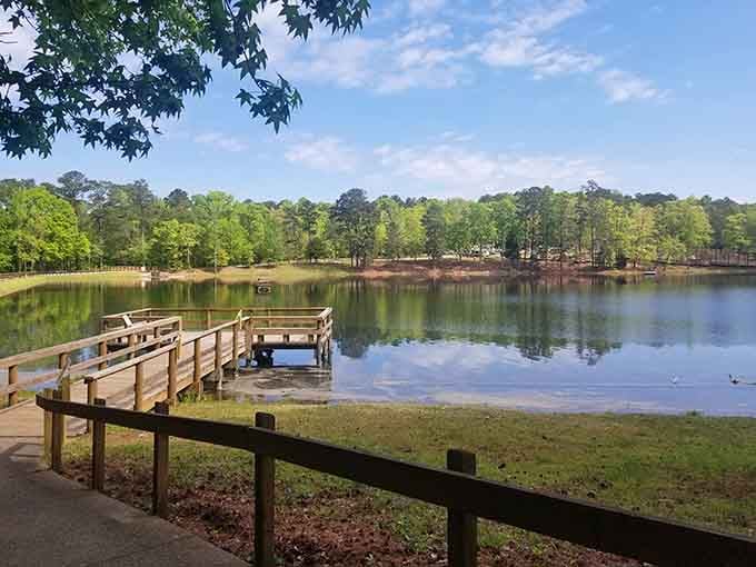Where wooden docks meet still waters—nature's invitation to pause, breathe, and just be.