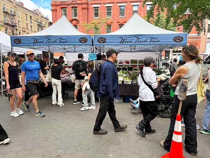 Fresh produce and artisan goods draw crowds to these white tents nestled among historic neighborhood buildings.