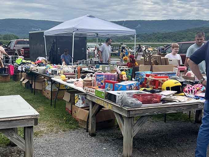 Mountain views frame this scenic market where vintage toys and household goods spread across weathered wooden tables.