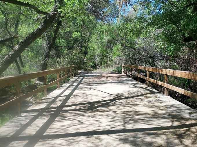 Dappled sunshine creates a natural spotlight on this sturdy bridge, where oak trees provide shade for summer strolls.