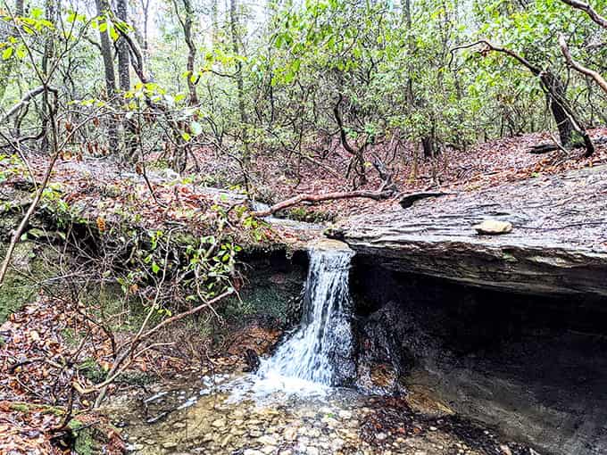 A hidden waterfall spills over dark rock into crystal pools, proving that the best discoveries often require a little extra effort.