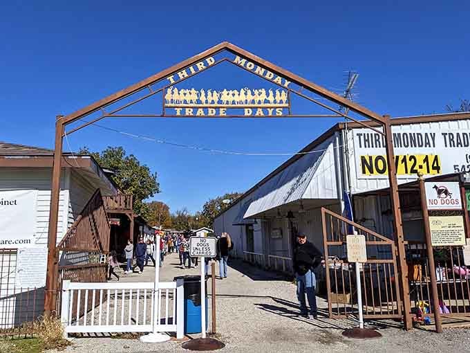 The classic arched entrance welcomes treasure hunters to a monthly tradition that's been bringing communities together for generations.