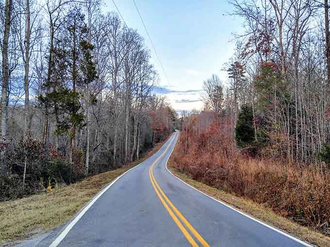 This scenic mountain route delivers autumn colors that make you grateful someone invented the Sunday drive.