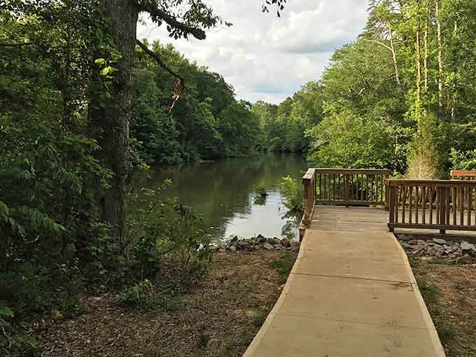 This riverside boardwalk winds through green trees offering peaceful views that cost absolutely nothing to enjoy.
