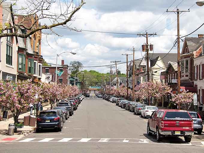 Cherry blossoms frame this hillside street view like nature decided to throw a pink party for the whole neighborhood.