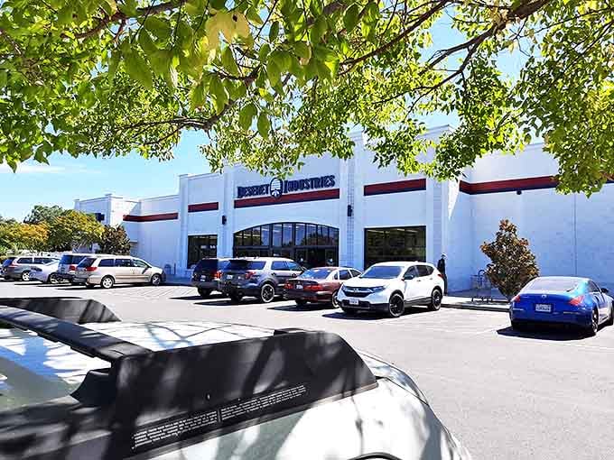 Sunlight dapples through trees onto Deseret Industries' spacious parking lot &ndash; a good sign for serious thrifters who need trunk space.