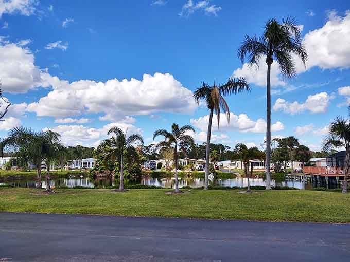 Englewood's residential areas feature beautiful palm trees, quiet streets, and affordable homes perfect for enjoying the good life in Florida.