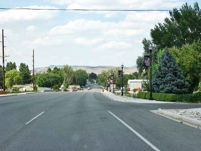 Tree-lined road curves toward open horizons, where big sky country meets budget-friendly living in perfect harmony.