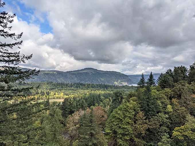 Layers of forest stretch toward distant peaks under dramatic clouds that paint the sky in shades of gray.