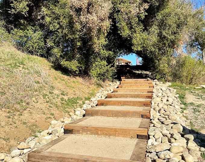 Stone steps climb the hillside like an ancient stairway, bordered by river rocks that frame your path upward.