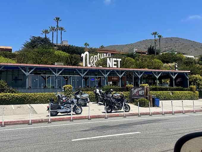 The perfect PCH pit stop! Neptune's Net has been serving road-trippers and locals alike since before GPS could tell you where to find it.