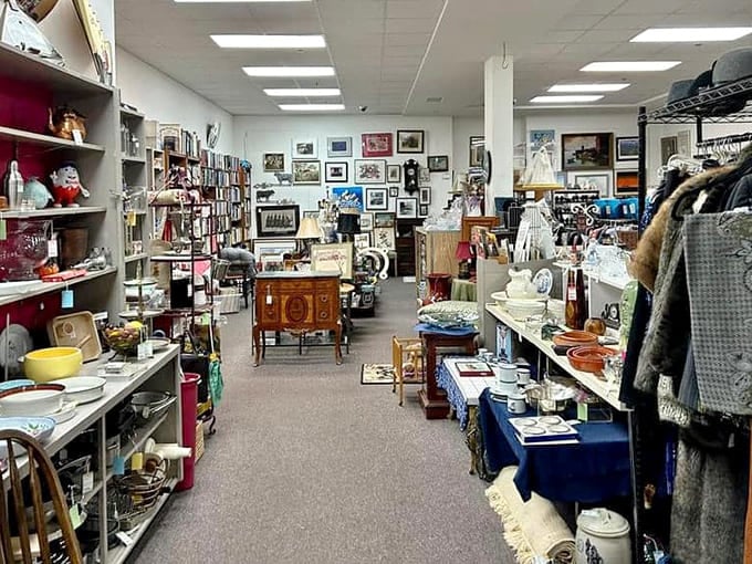 This cozy interior packs more personality per square foot than most boutiques, with treasures stacked like a well-curated museum.