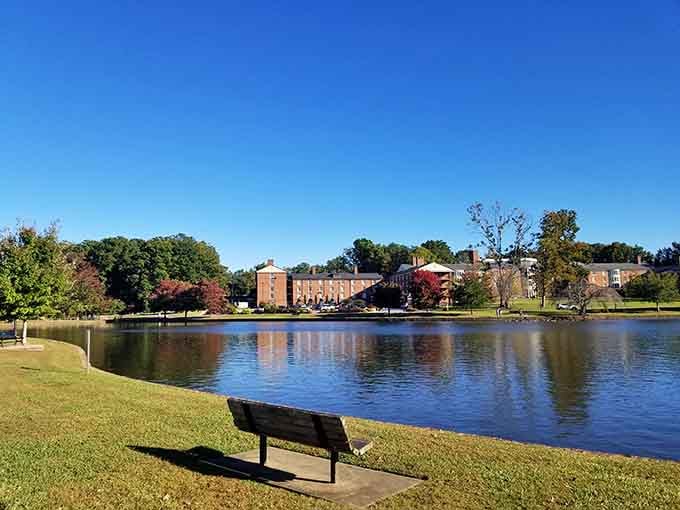 A peaceful lakeside bench provides the perfect spot for solving life's problems or just forgetting them entirely.