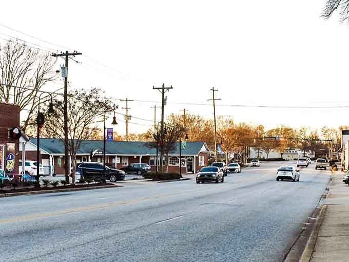 Autumn light transforms this quiet street into a golden corridor where time moves at exactly the right speed for living.