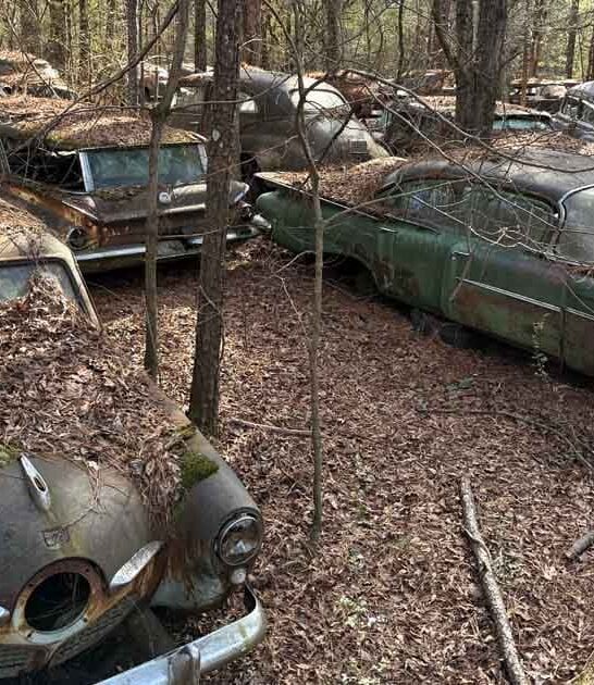 abandoned cars forest georgia ftr